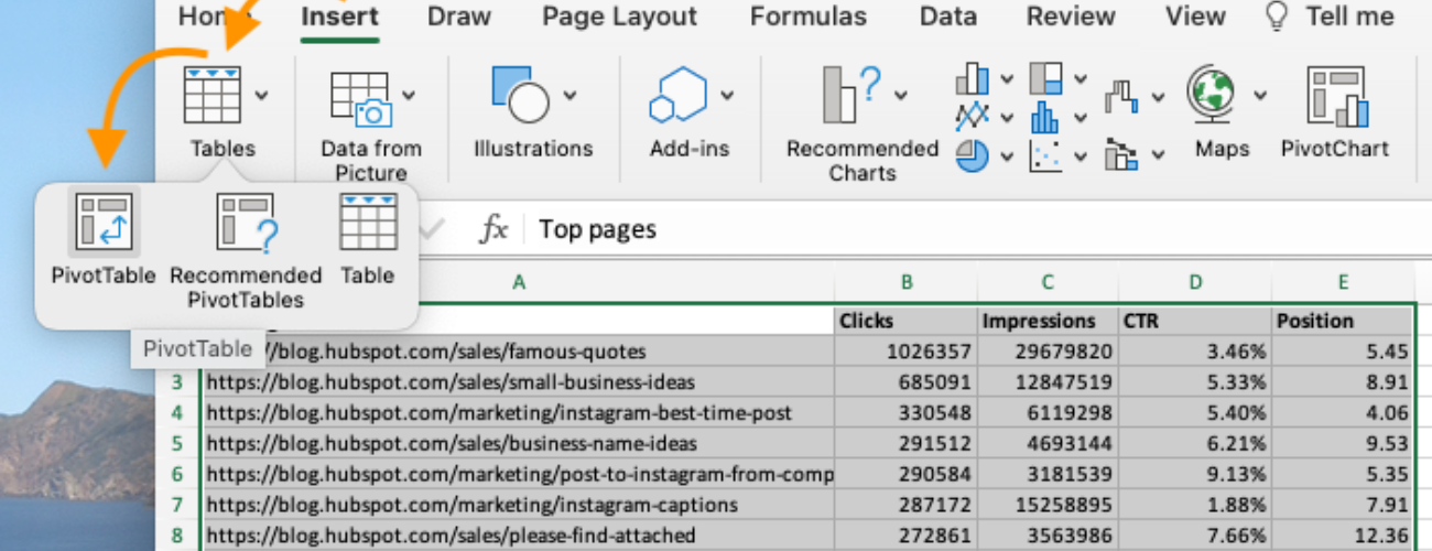 Understanding Your Business Data: How Pivot Tables Can Help